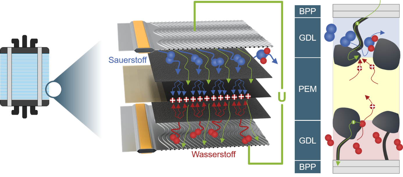 Brennstoffzelle: Definition, Funktionsweise, Kosten - WGP